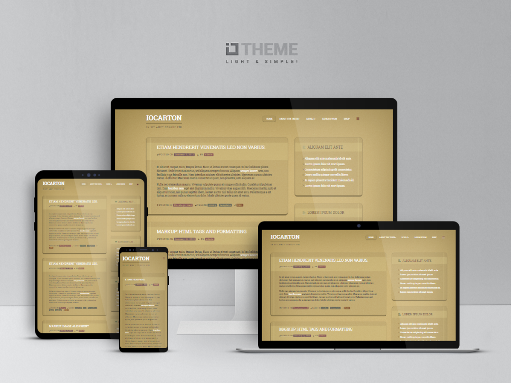 ioTheme – Light & Simple WordPress starter theme!